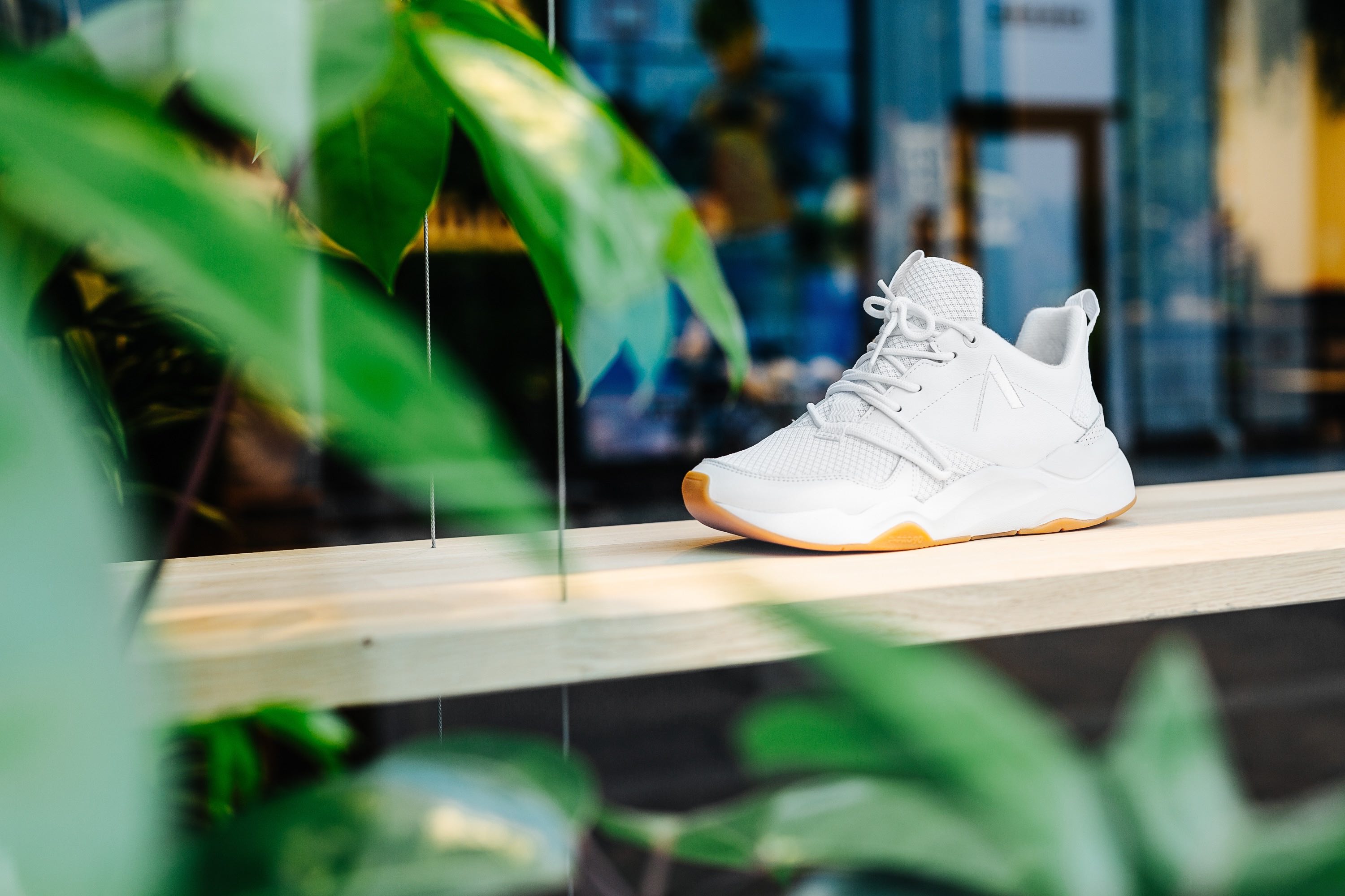 ARKK Copenhagen fortsætter sin vækst! Nyt regnskab