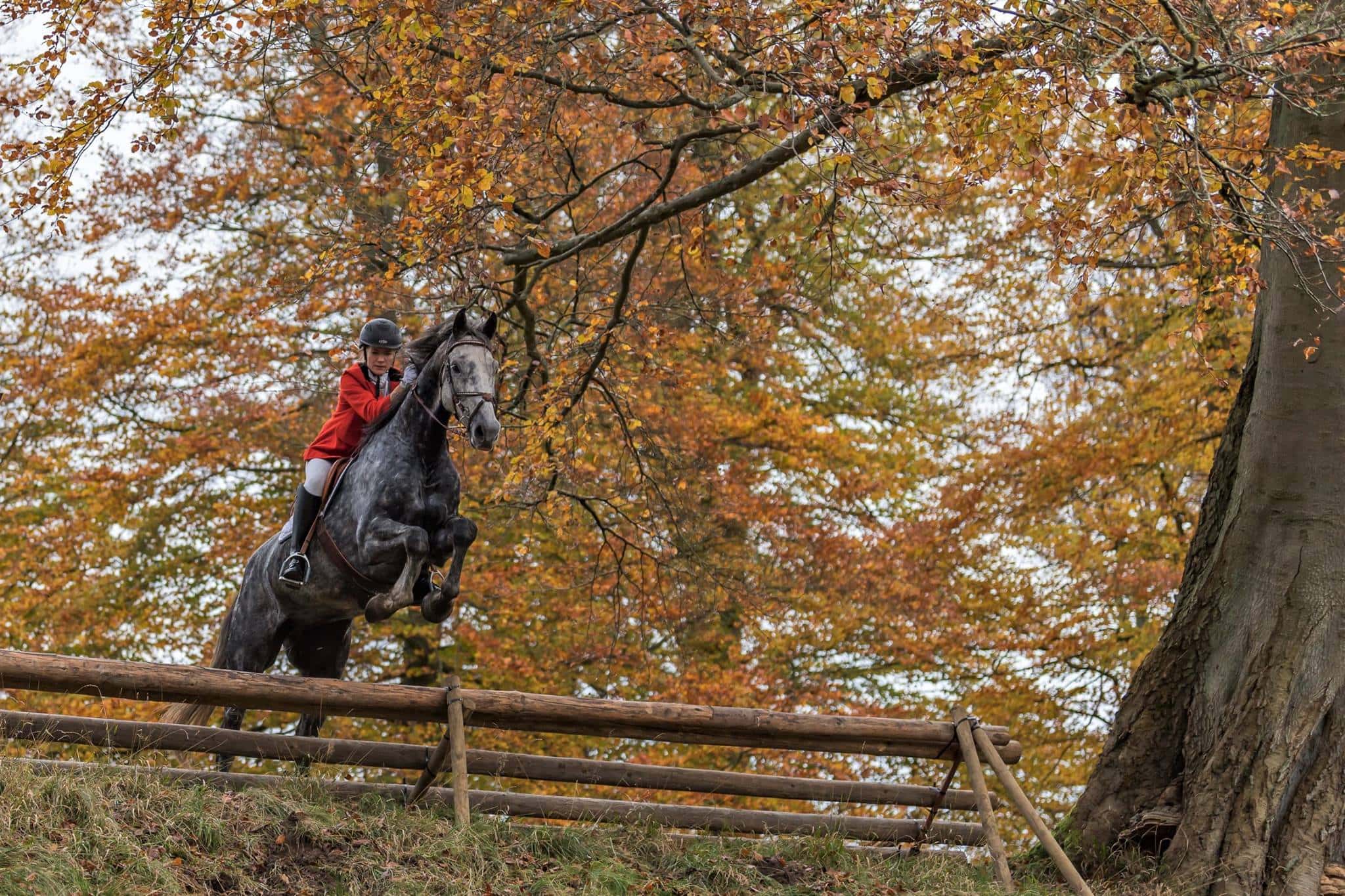 Emilie Andersen-Ranberg: Jeg sidder ikke på hænderne, når jeg ser et ...