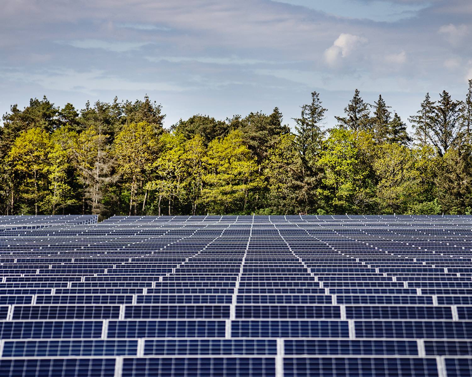 Tivoli i grøn offensiv: Stor aftale om energi fra nybygget solcellepark